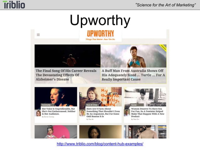 40 Beautiful Content Hub Examples | PPT