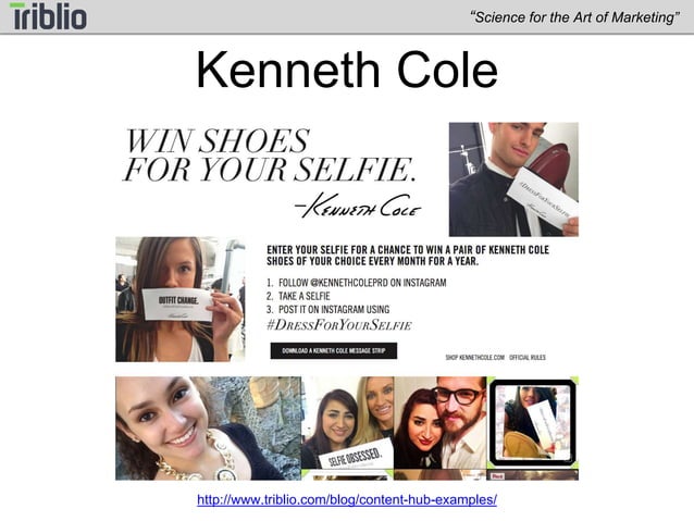 40 Beautiful Content Hub Examples | PPT