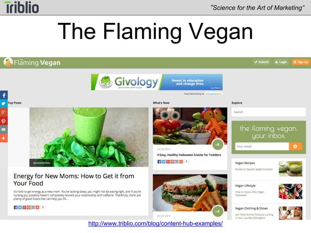 40 Beautiful Content Hub Examples | PPT
