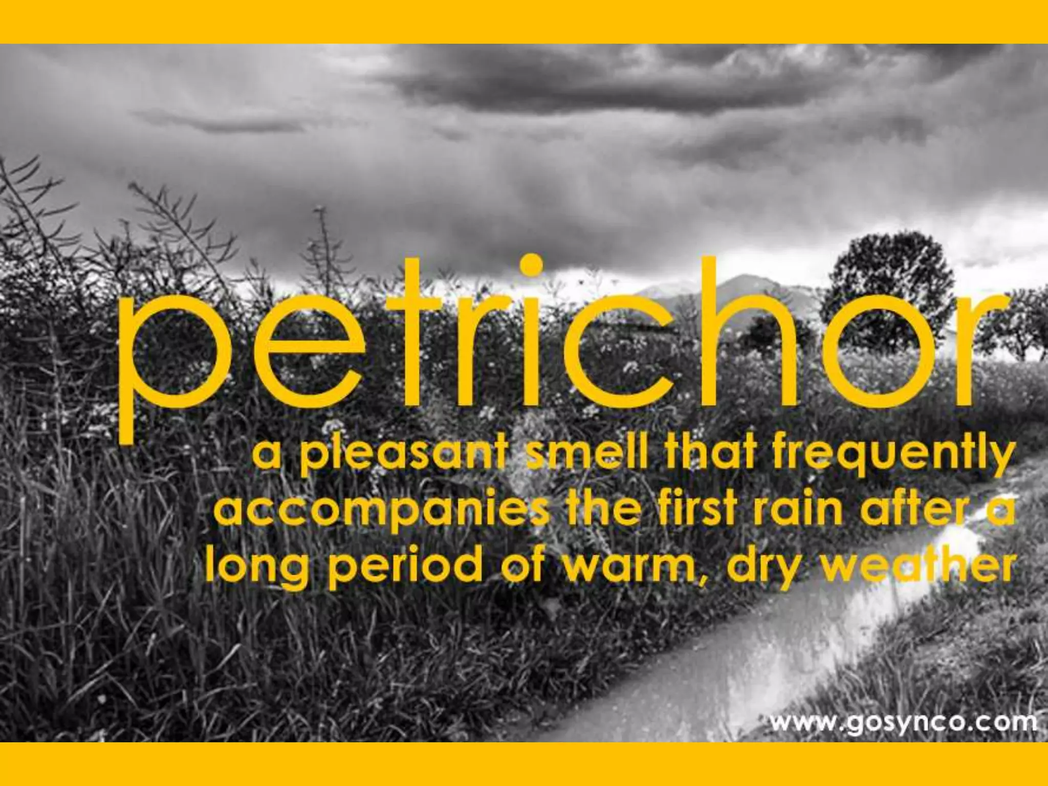 Beautiful English words | PPTX