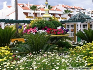 Beautiful Gardens | PPS