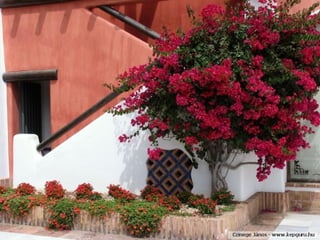 Beautiful Gardens | PPT