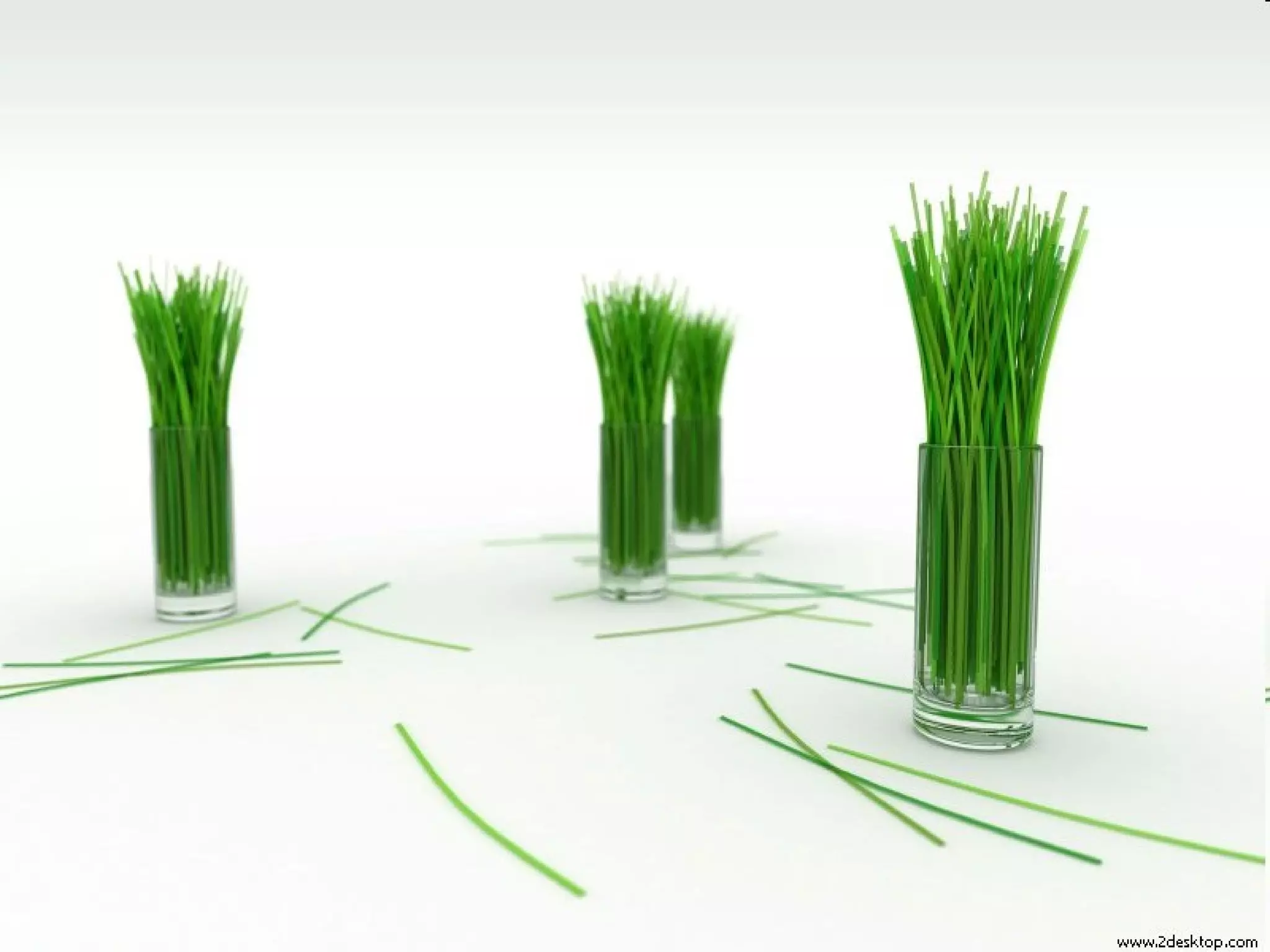 Beautiful Green Grass | PPS