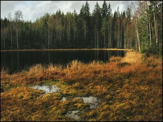 Beautiful Landscapes | PPT