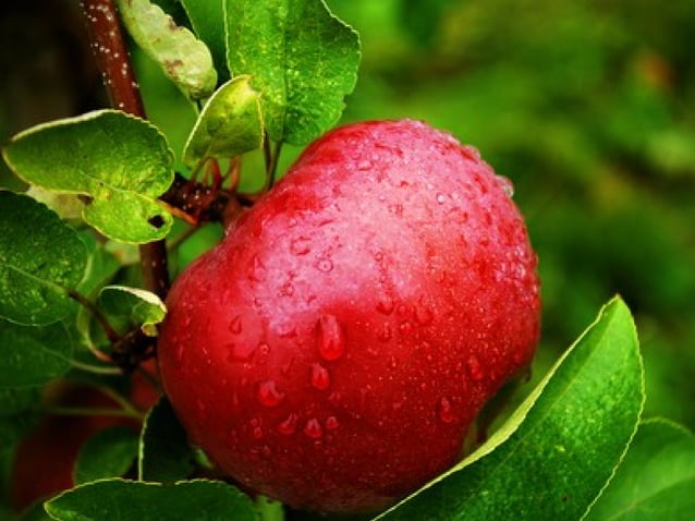 Beautiful Rain Drops(Music) | PPT