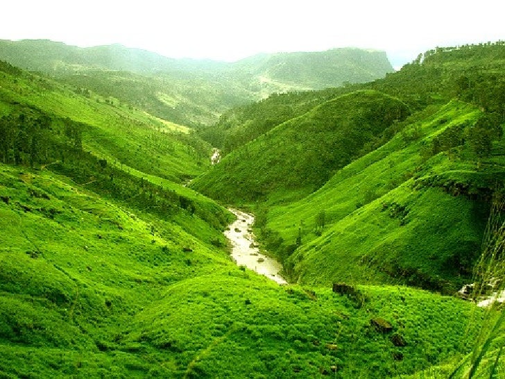 Beautiful Scenery From Sri Lanka