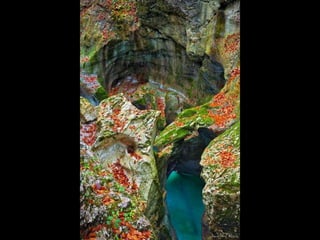 Beautiful Spectacle | PPT