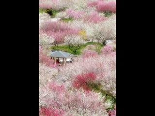 Beautiful Spectacle | PPT