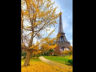 Beautiful Spectacle | PPT