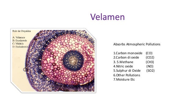 Beautiful way to save our planet