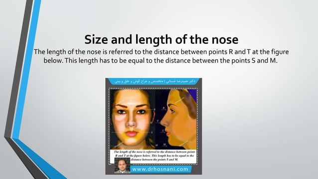 Measures of a beautiful nose | PPTX