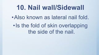 Beauty care (nail care) services | PPTX