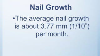 Beauty care (nail care) services | PPTX