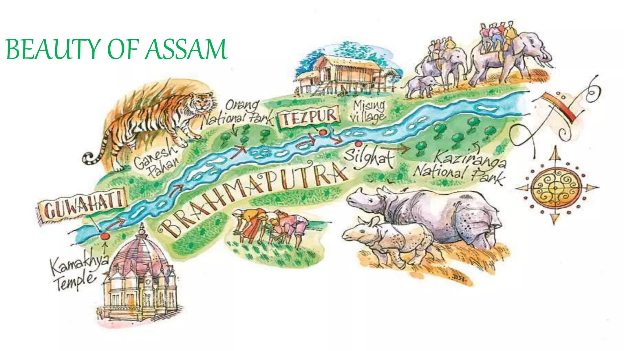 The Beauty of Assam. The Land of culture, Awsomeness,The Pride of ...