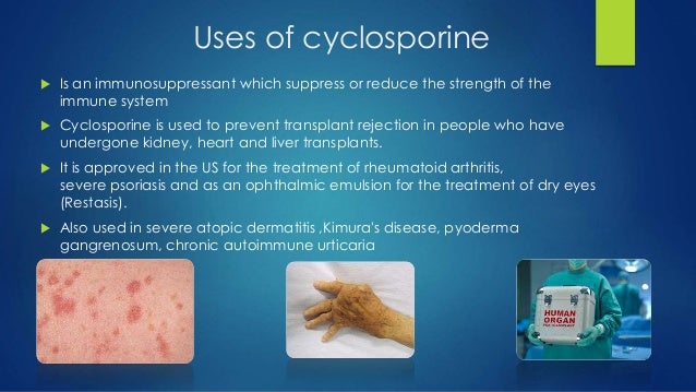 Beauty of cyclosporine