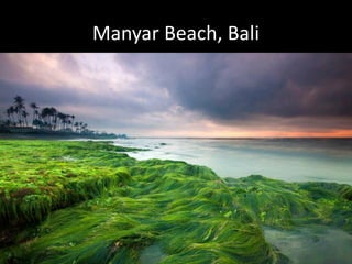 Beauty of indonesia 2nd chapter | PDF