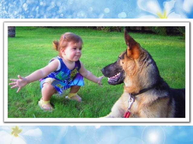 Beauty Of Innocecente Cute Babies | PPS