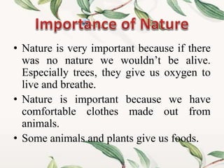 Beauty of Nature Presentation ABM1 | PPTX