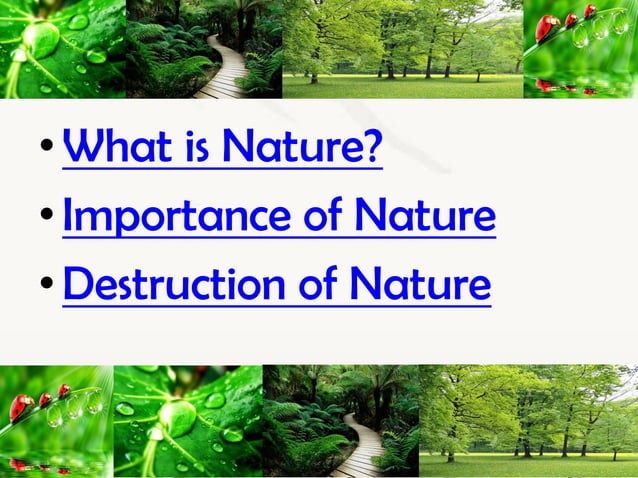 Beauty of Nature PDF ABM 1 | PDF | Environment | Science