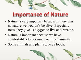 Beauty of Nature PDF ABM 1 | PDF