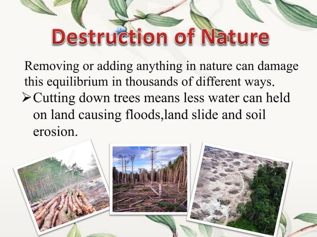 Beauty of Nature PDF ABM 1 | PDF | Environment | Science