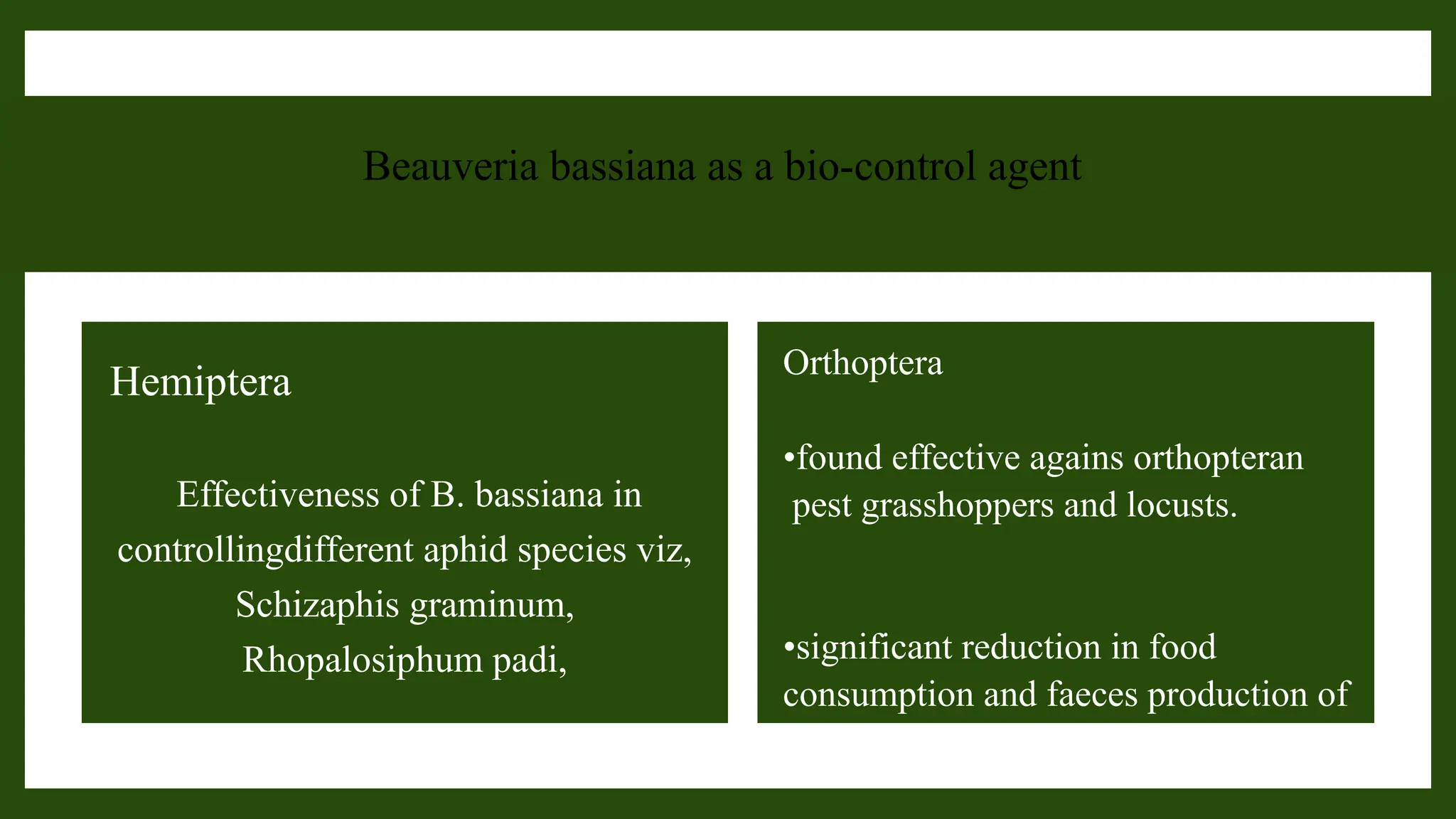 Beauvaria bassiana -biocontrol agent _20240918_093637_0000.pptx