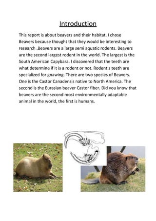 Beavers by Joe | DOCX