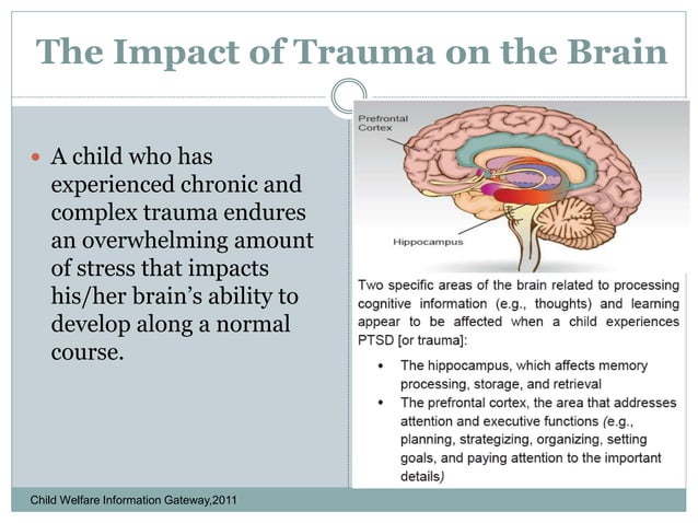 Promoting a trauma informed lens | PPT