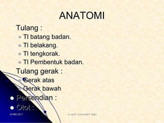 BEBAT BIDAI untuk pertolongan pertama .ppt