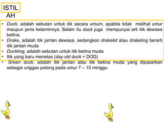 BEBEK PPT.pptx
