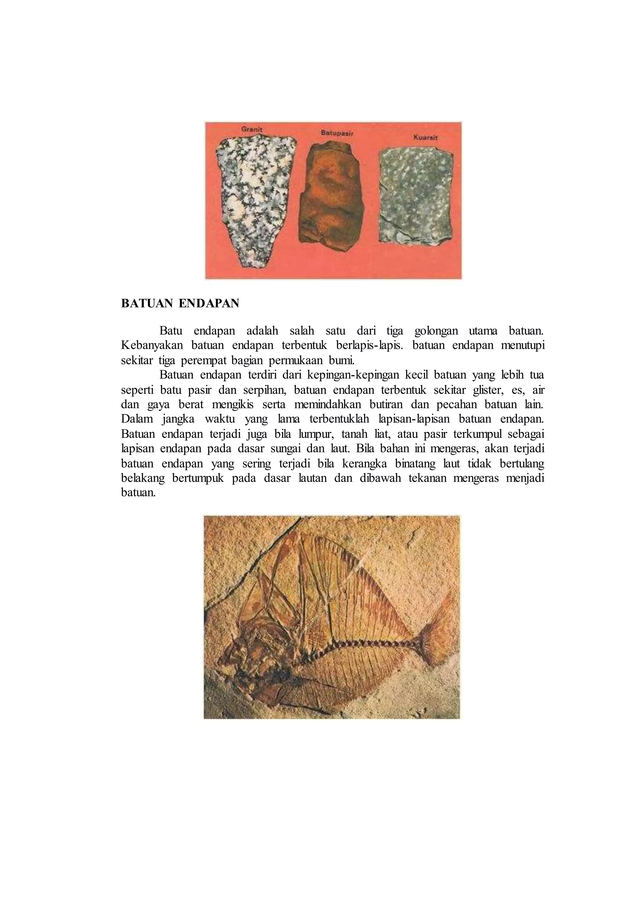 JENIS-JENIS BATU ALAM DAN BATU BUATAN | DOCX