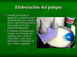 Bebidas Mexicanas Obtenidas Por FermentacióN | PPT