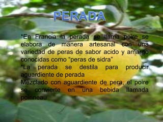 Bebidas alcoholicas de la edad media | PPTX