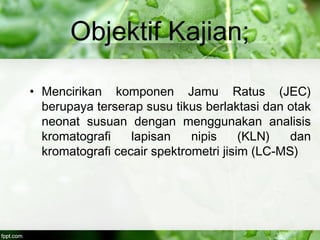 POWERPOINT KOLOKIUM 2012 | PPT