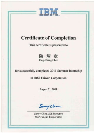 IBM INTERN.PDF