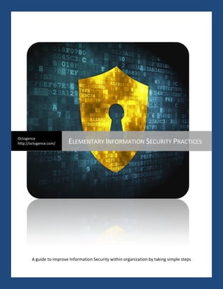 Elementary-Information-Security-Practices | PDF