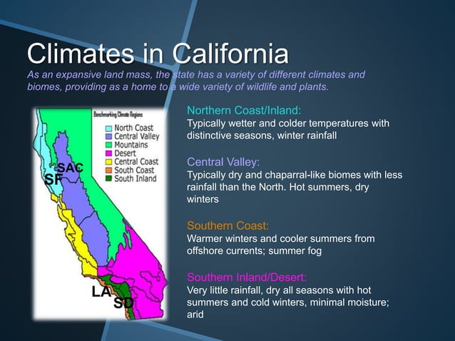 CA Presentation | PPT