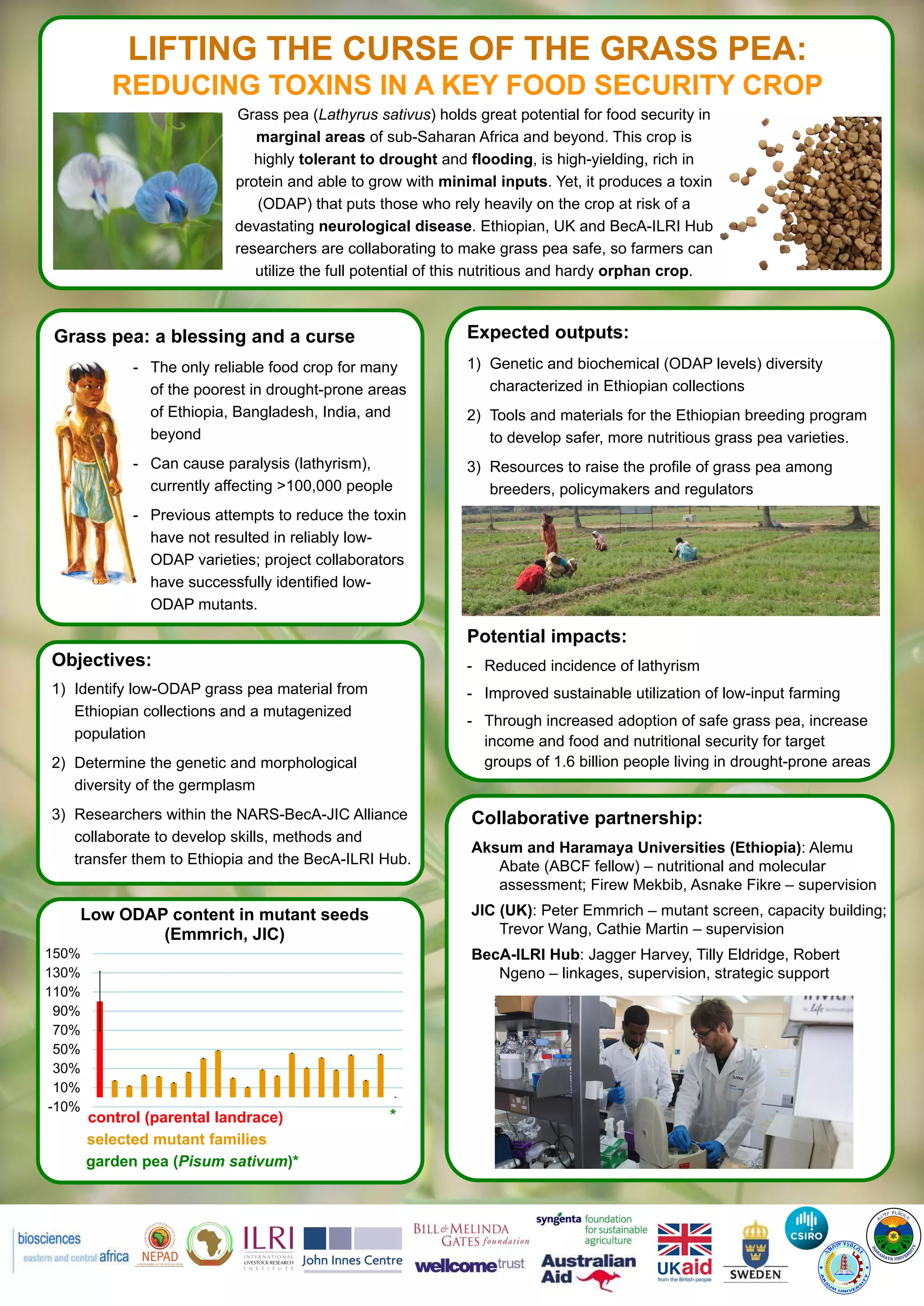 Lifting the curse of the grass pea: Reducing toxins in a key food ...