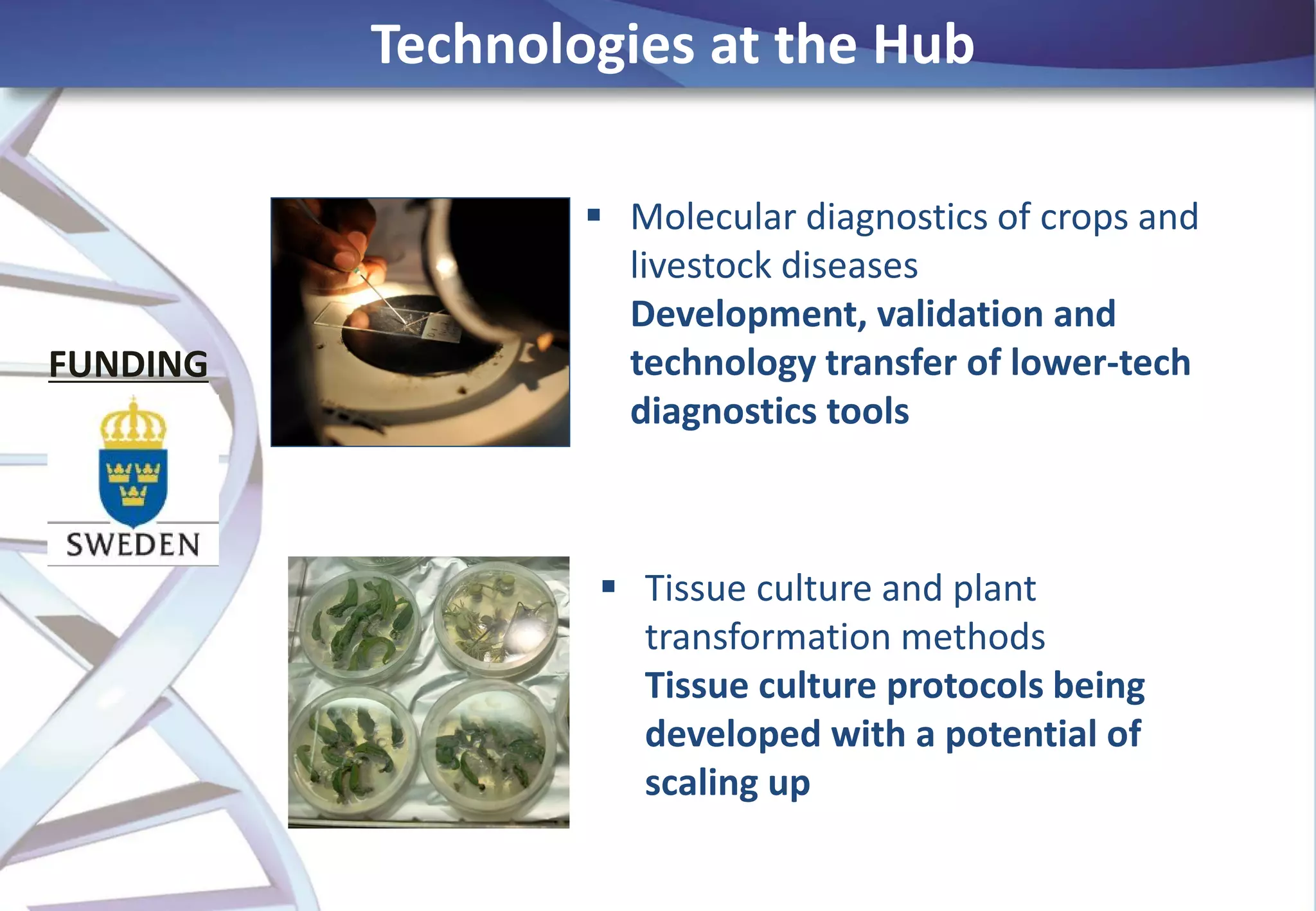 BecA-ILRI Hub: Building bioscience technology platforms for Africa’s ...