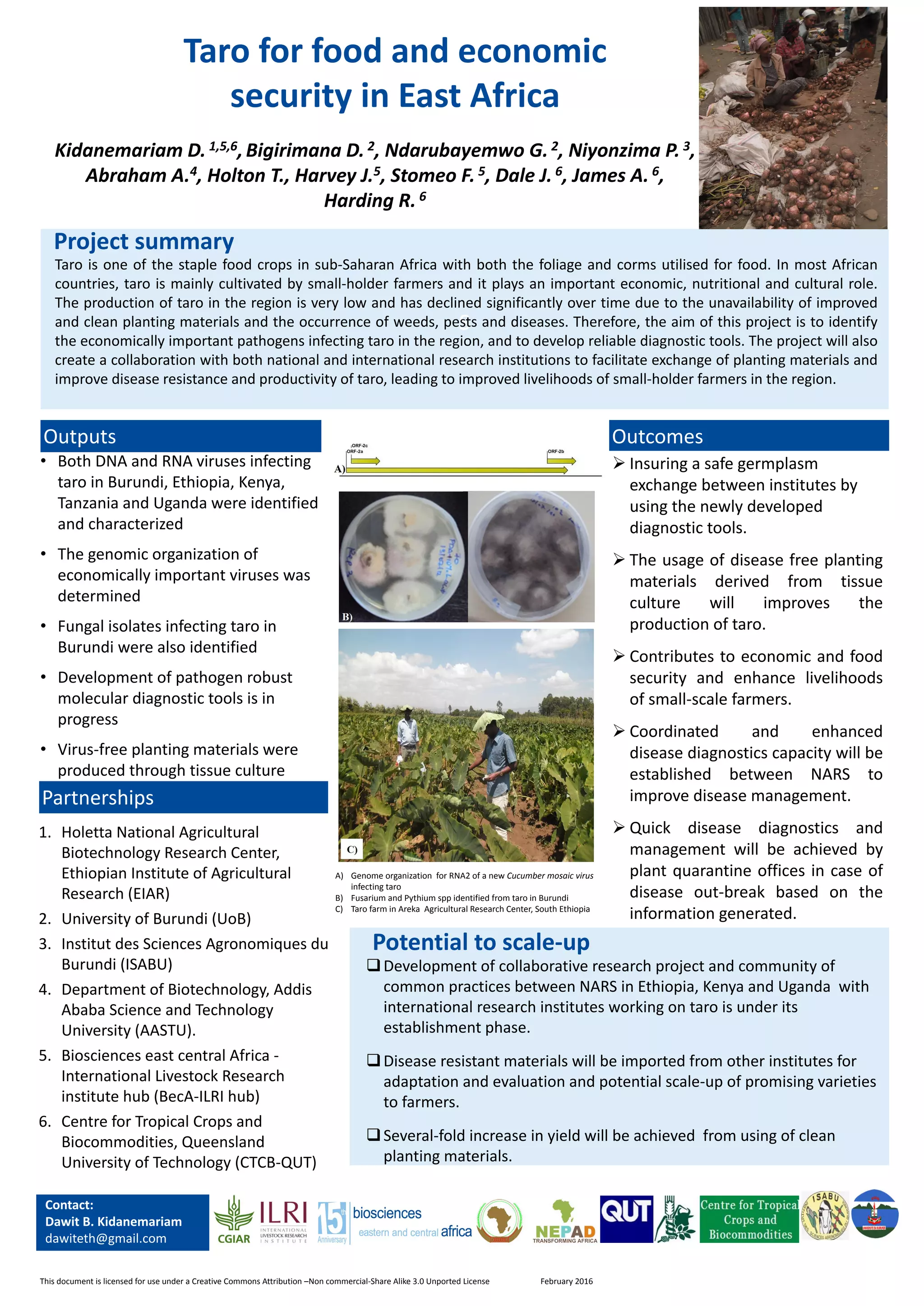 Taro for food and economic security in East Africa | PDF