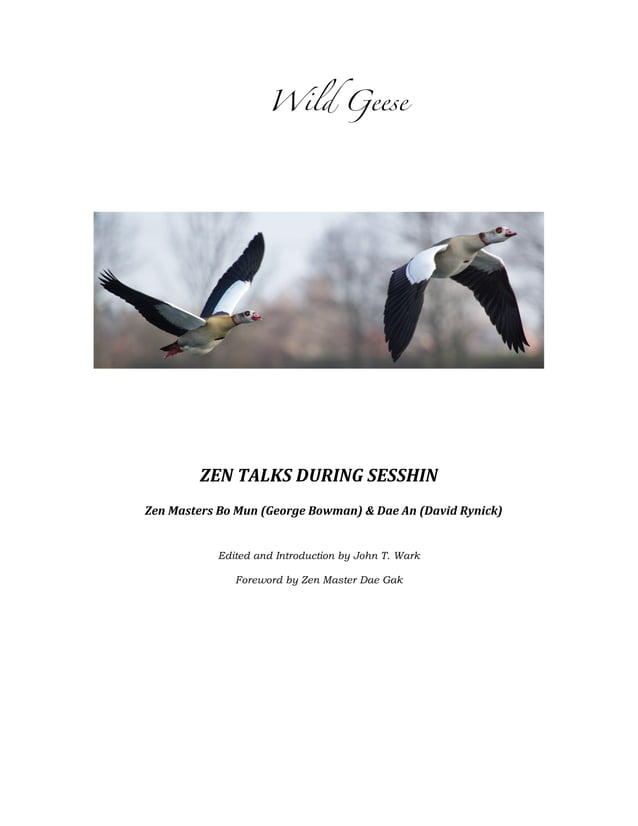 Wild Geese Book Cover | PDF