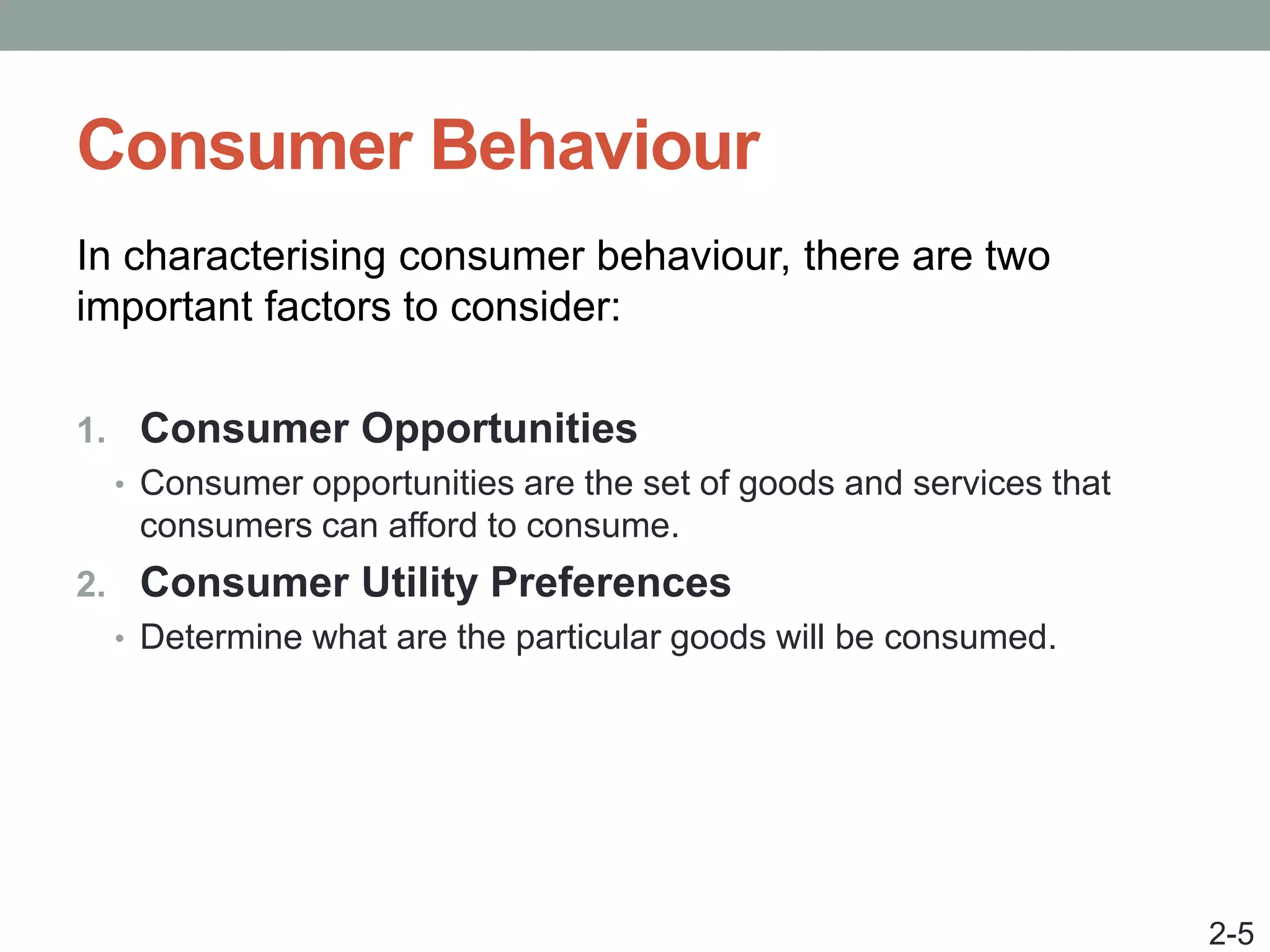 Chapter 4 Consumer Behavior | PPTX