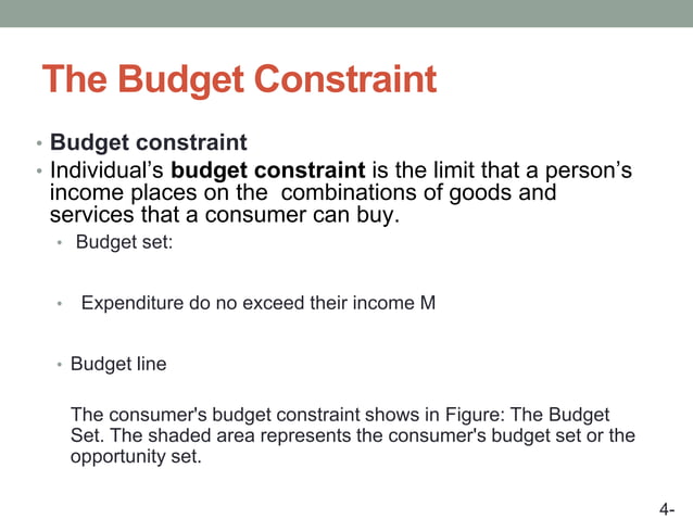 Chapter 4 Consumer Behavior | PPTX | Business | Business and Finance
