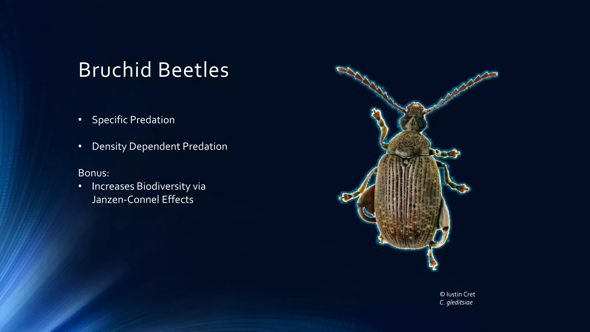 Fall18 Lab Presentation | PPT