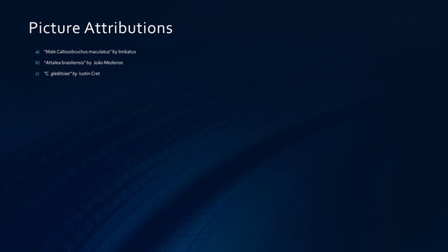 Fall18 Lab Presentation | PPT