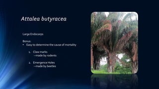 Fall18 Lab Presentation | PPT