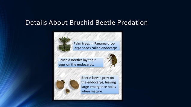 Fall18 Lab Presentation | PPT