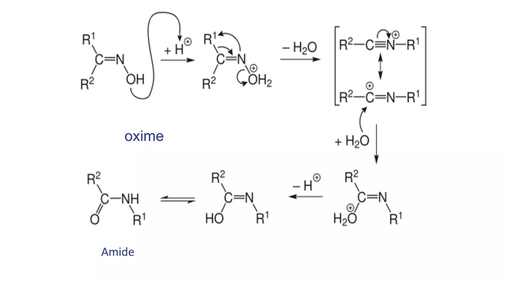 Beckmann Rearrangement Y.K.pptx