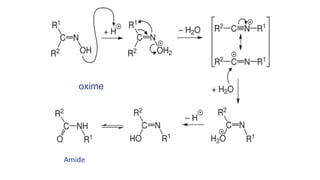 Beckmann Rearrangement Y.K.pptx
