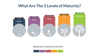 The Customer-Centricity Maturity Audit by Become Customer-Centric | PPT